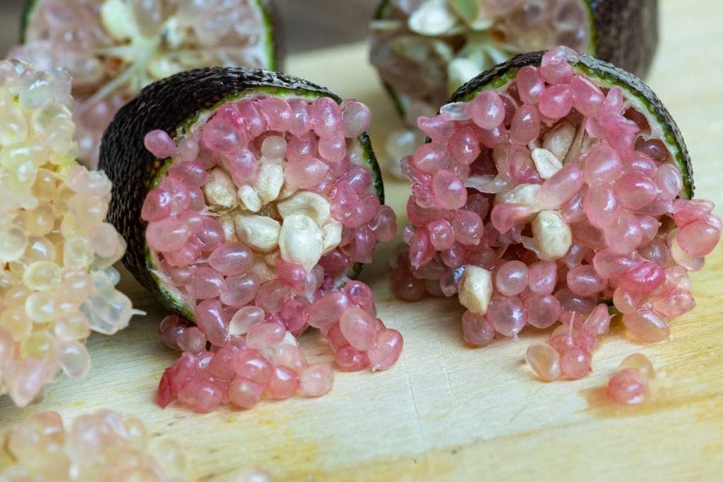 How to Grow and Care for Australian Finger Lime Trees | luv2garden.com