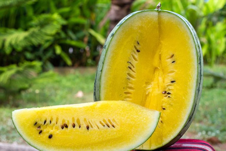Best Varieties of Yellow Watermelons | luv2garden.com