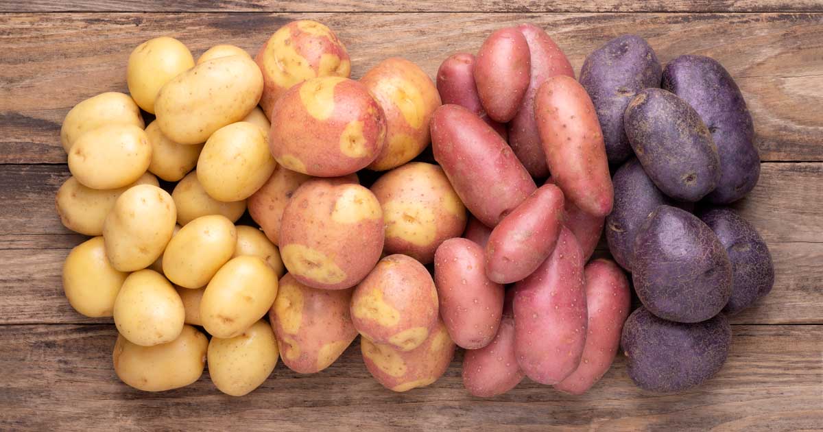 The Best Potato Varieties to Grow at Home | luv2garden.com