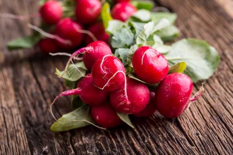 The Hydroponic Radish: How to grow High-Quality Radishes Indoors ...