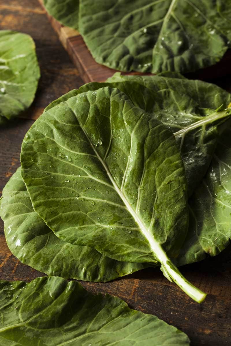 How to Plant and Grow Collard Greens | luv2garden.com